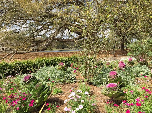 Secrets of Hampton Park: The Citadel’s Friendly Neighbor - Charleston Daily
