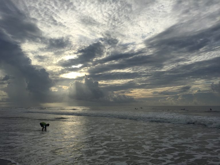 GALLERY: It’s All Happening: Dawn of the Eclipse at Folly Beach ...