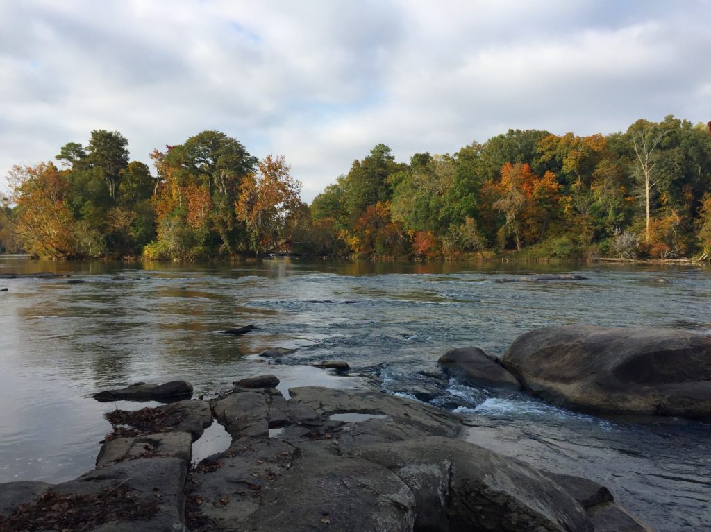 Charleston Day Trip: Escape to Autumn in Columbia, SC by the Congaree ...