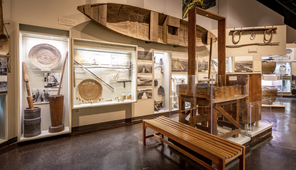 The Charleston Museum named one of the 51 Best Museums in the U.S. for ...