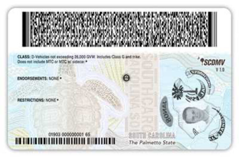 South Carolina DMV Releases New Drivers License Design - Charleston Daily